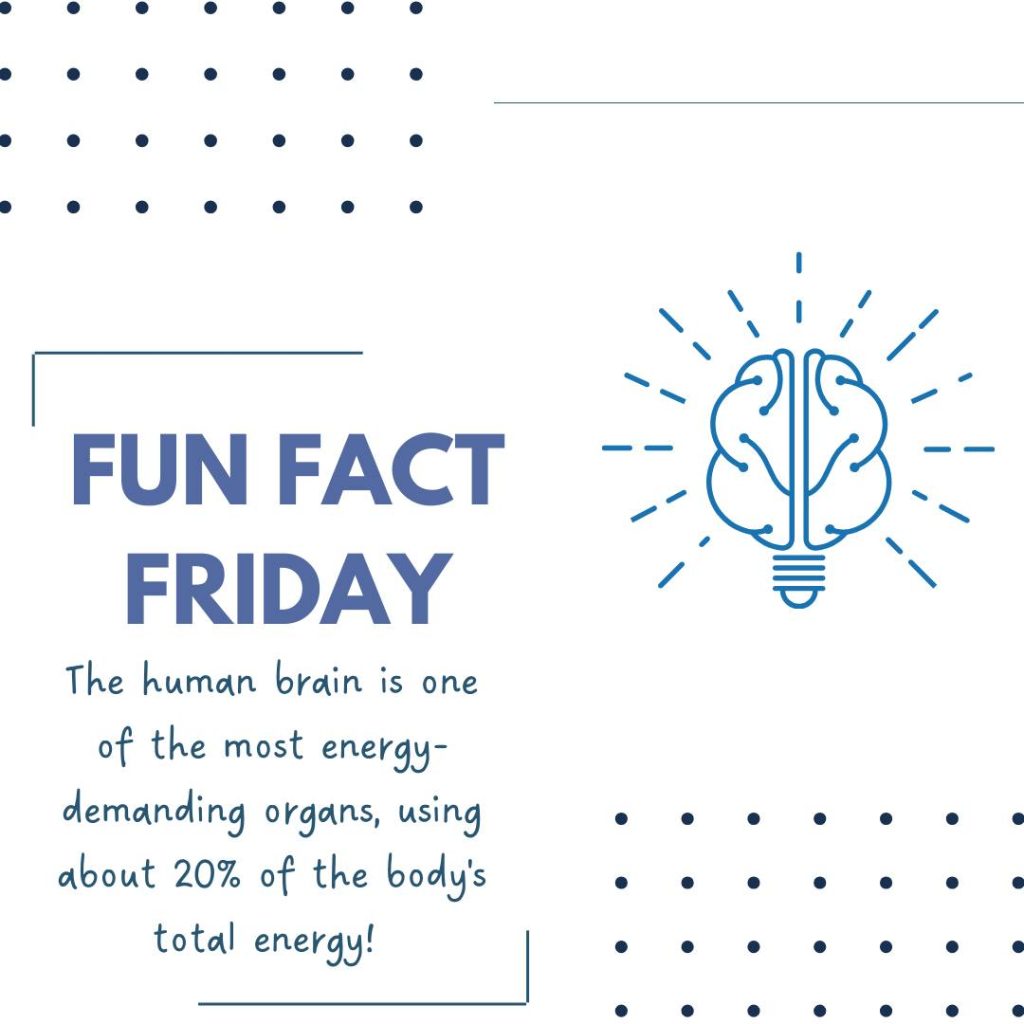 Fun Fact Friday - NJ Craniofacial Center